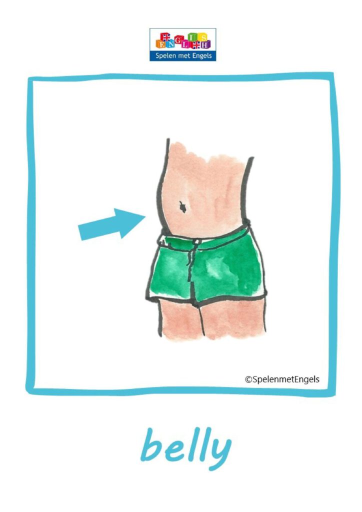 Flashcards My Body - Engels in het basisonderwijs