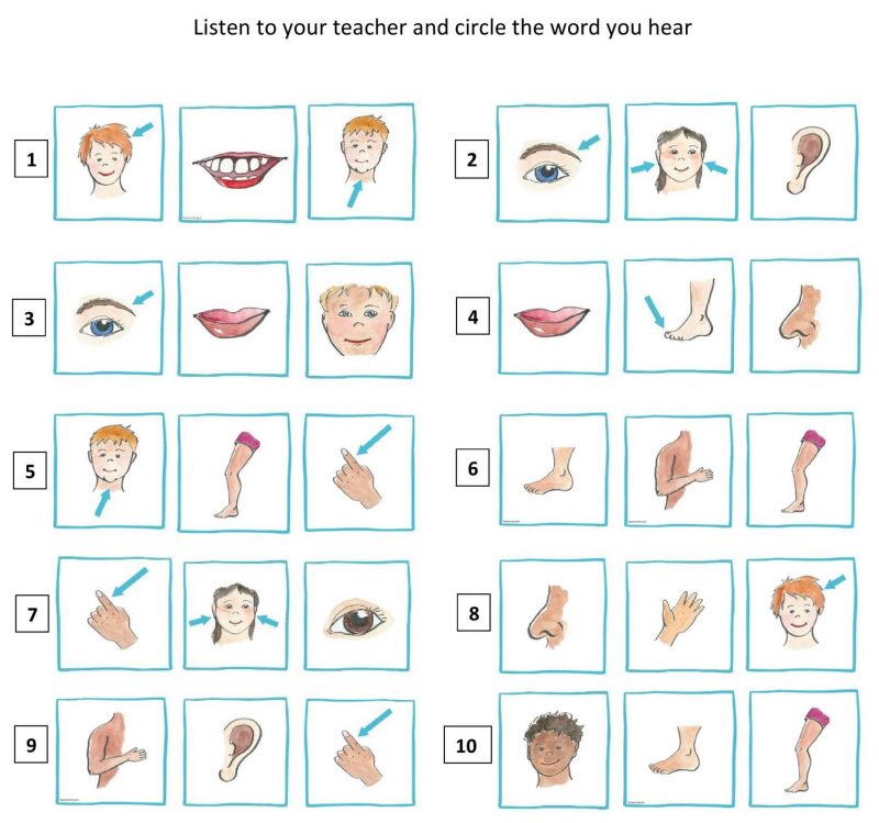 My body, lesson 2 | Complete Engelse les | Spelen met Engels