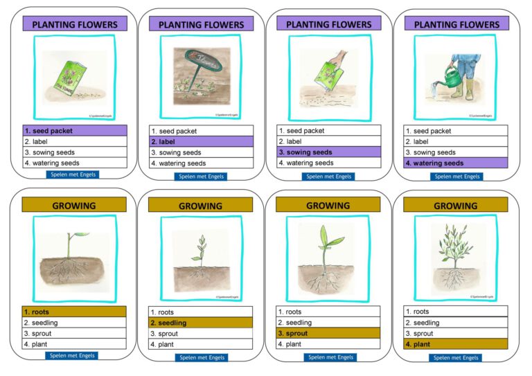 Kwartet Spring | Spelen met Engels