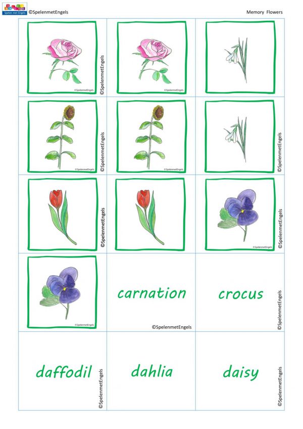 Memory Flowers | Een uitgebreide set | Spelen met Engels