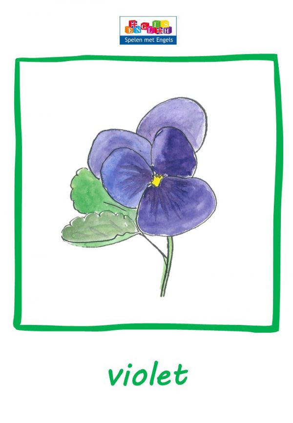 Flashcards Flowers | 21 tekeningen | Spelen met Engels