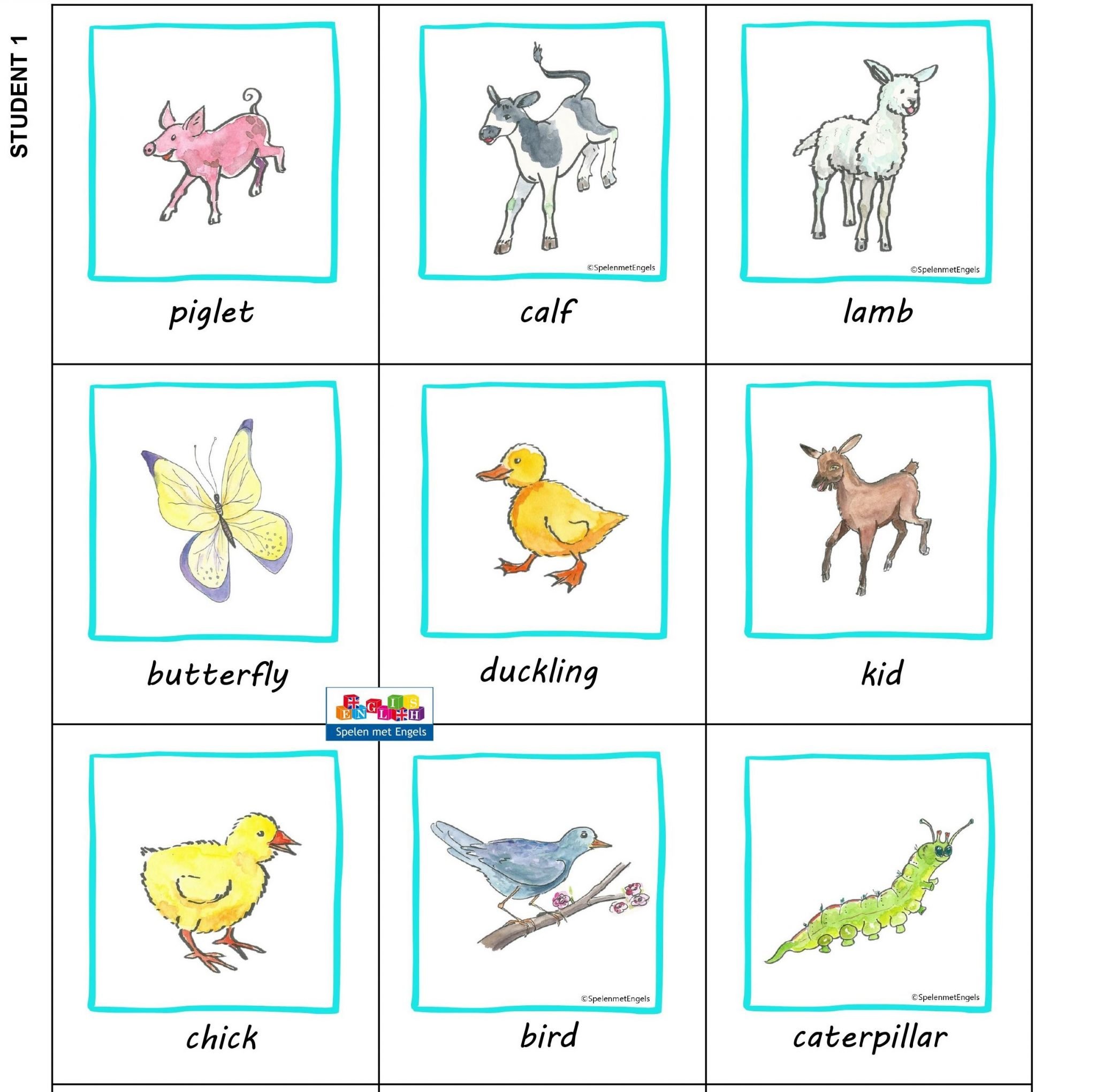 Guess what? Animals in spring | Pairwork | Spelen met Engels