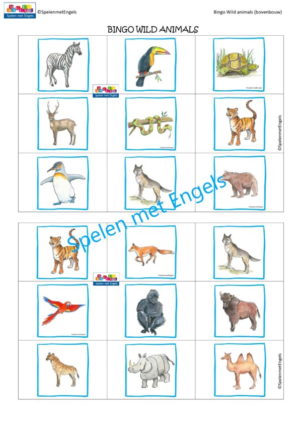 Bingo Wild animals (bovenbouw) | Spelen met Engels