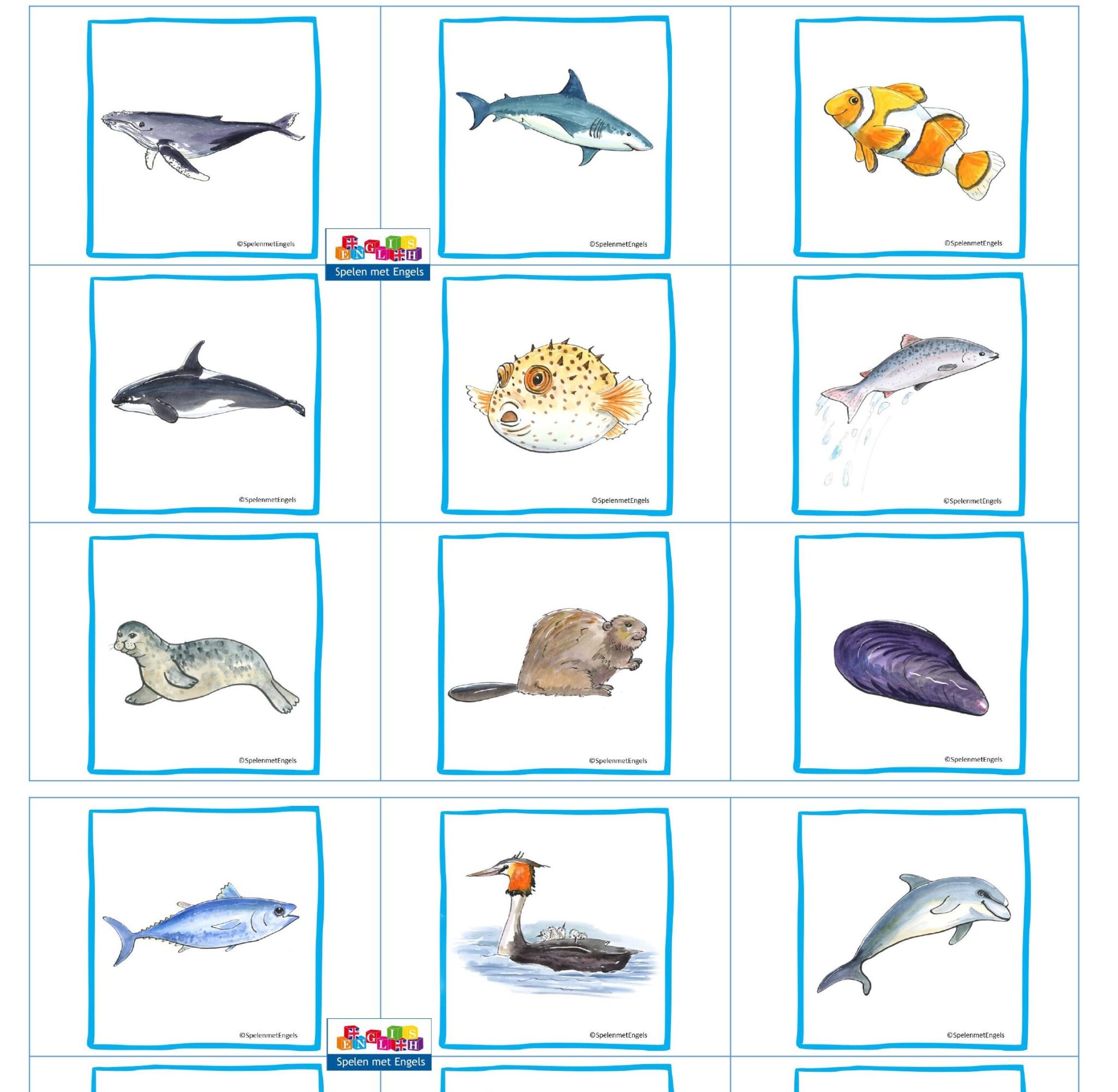 Bingo Aquatic animals (bovenbouw) | Spelen met Engels