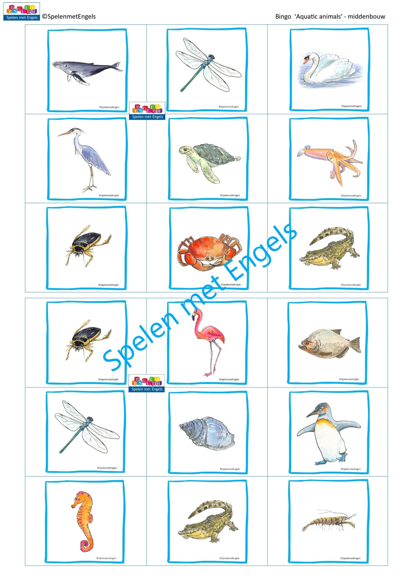 Bingo Aquatic animals (middenbouw) | Spelen met Engels