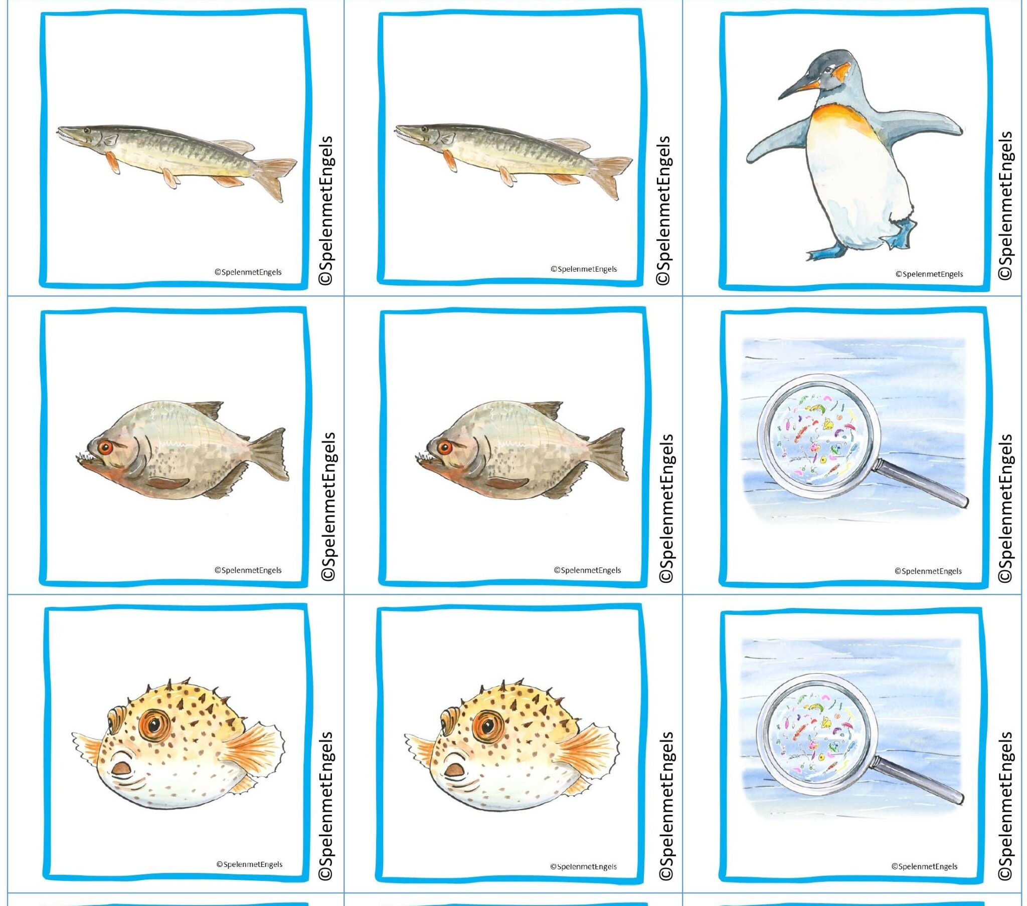 Memory Aquatic animals (bovenbouw) | Spelen met Engels