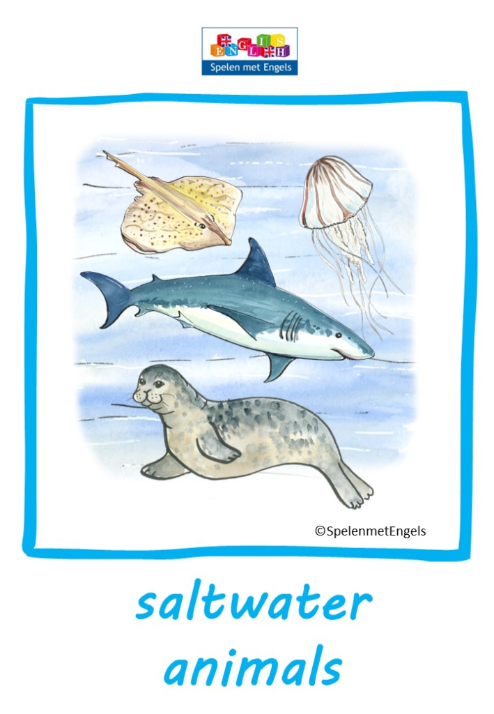 Flashcards Aquatic animals (bovenbouw) | Spelen met Engels
