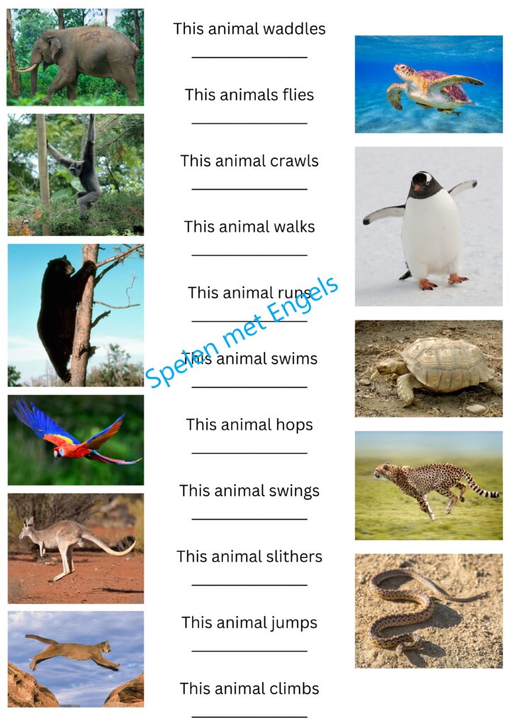 Worksheets Describing animals | Spelen met Engels